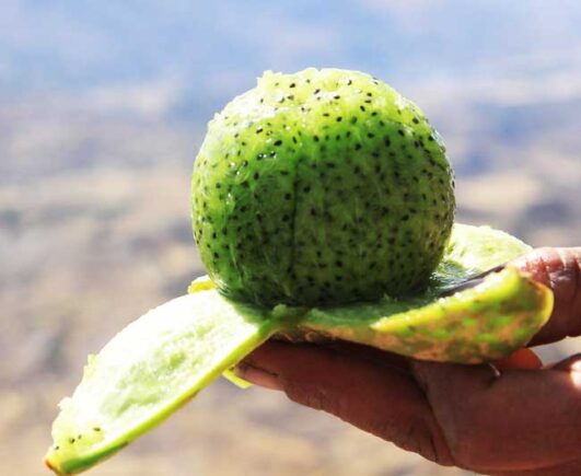 🏔️ Explore Chivay, Peru: Gateway to Colca Canyon's Beauty