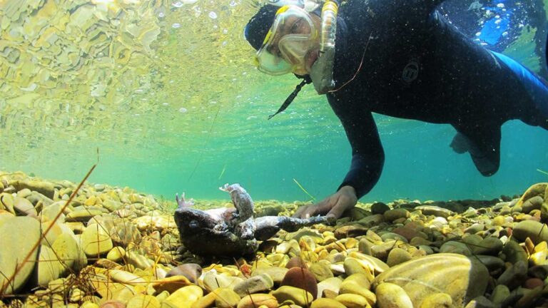 10 Fascinating Lake Titicaca Facts You Need to Know